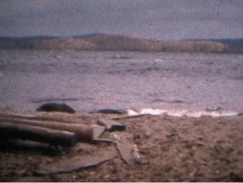 The Lake